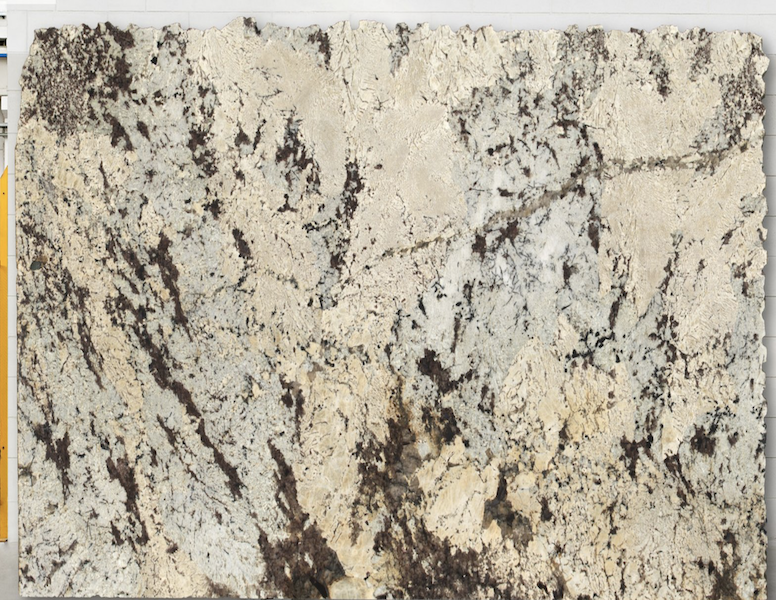 Alaska White - Grama Blend