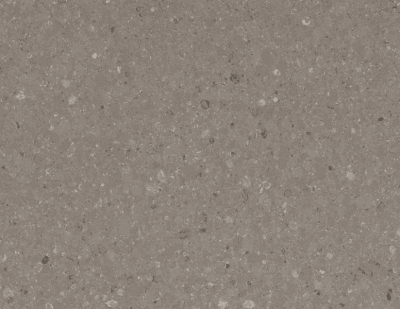 Shitake 4230 by Caesarstone - Grama Blend